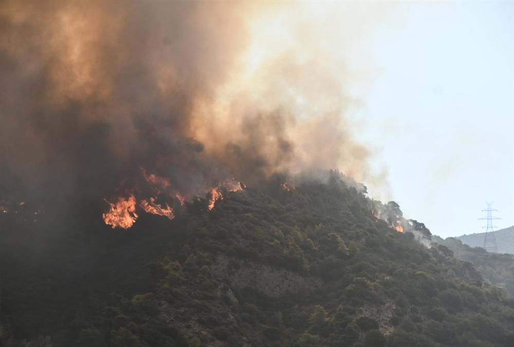 Κεντρική Σελίδα | Έθνος