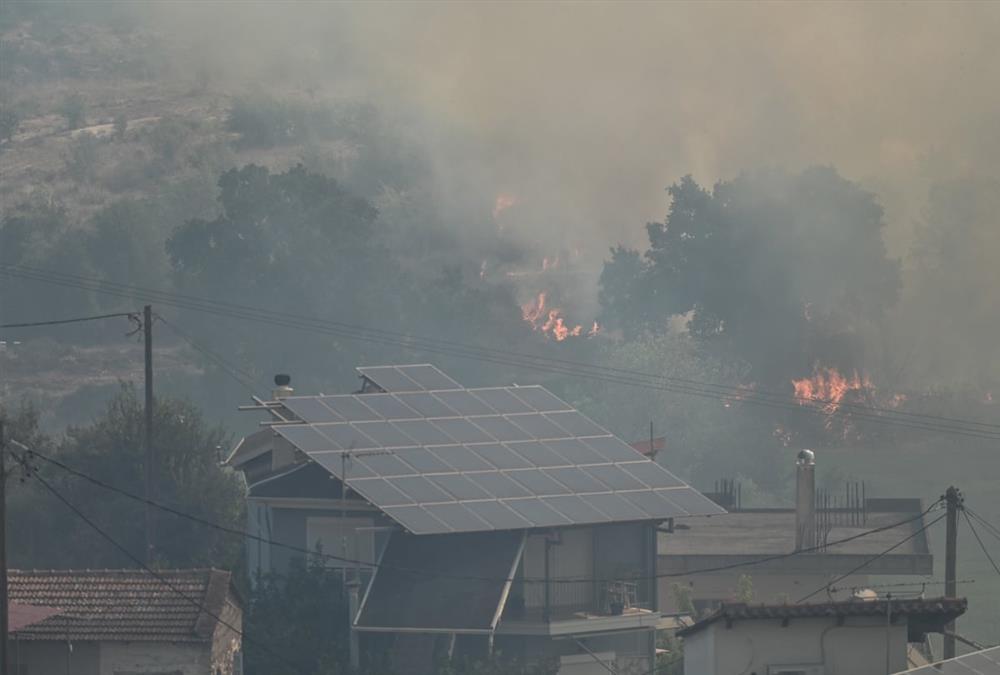 Κεντρική Σελίδα | Έθνος