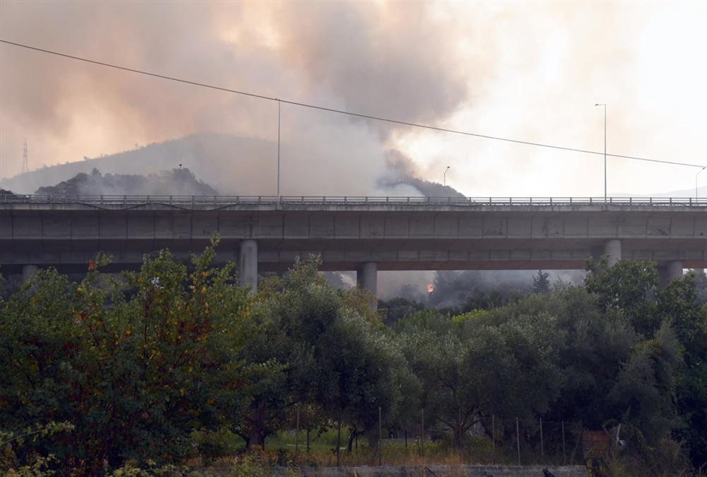 Κεντρική Σελίδα | Έθνος