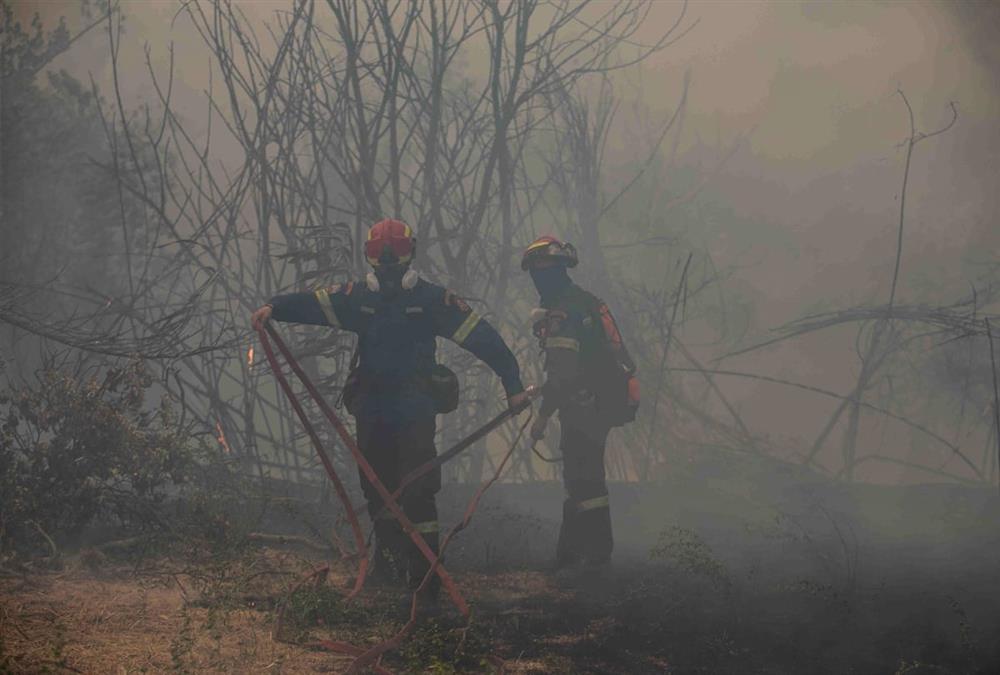 Κεντρική Σελίδα | Έθνος