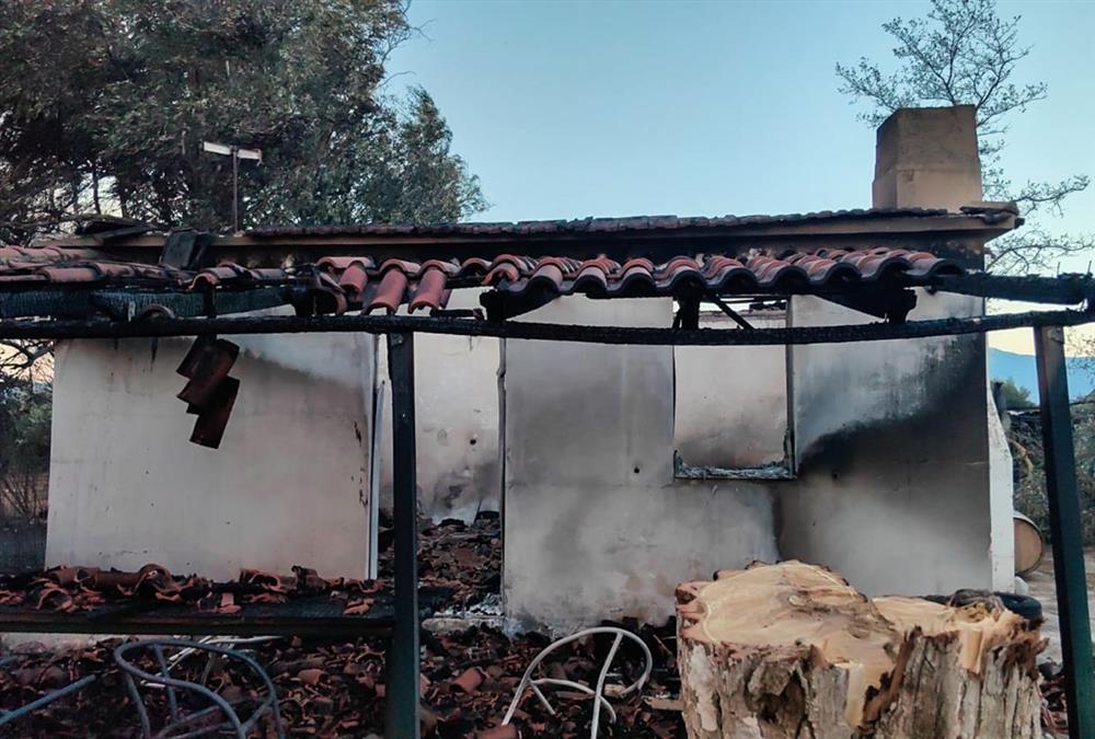 Κεντρική Σελίδα | Έθνος