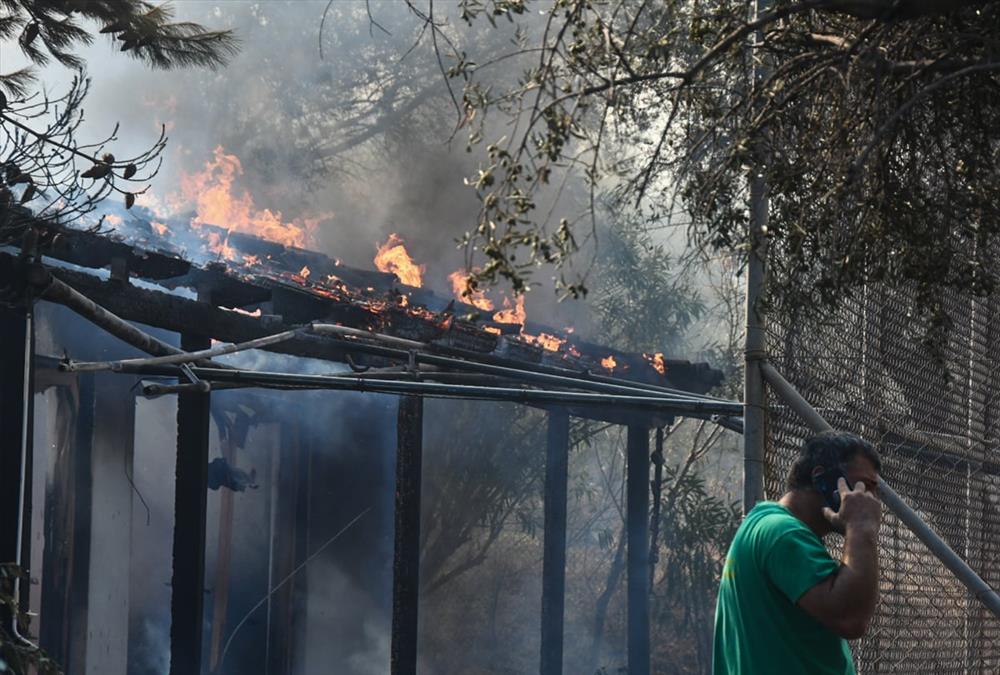 Κεντρική Σελίδα | Έθνος