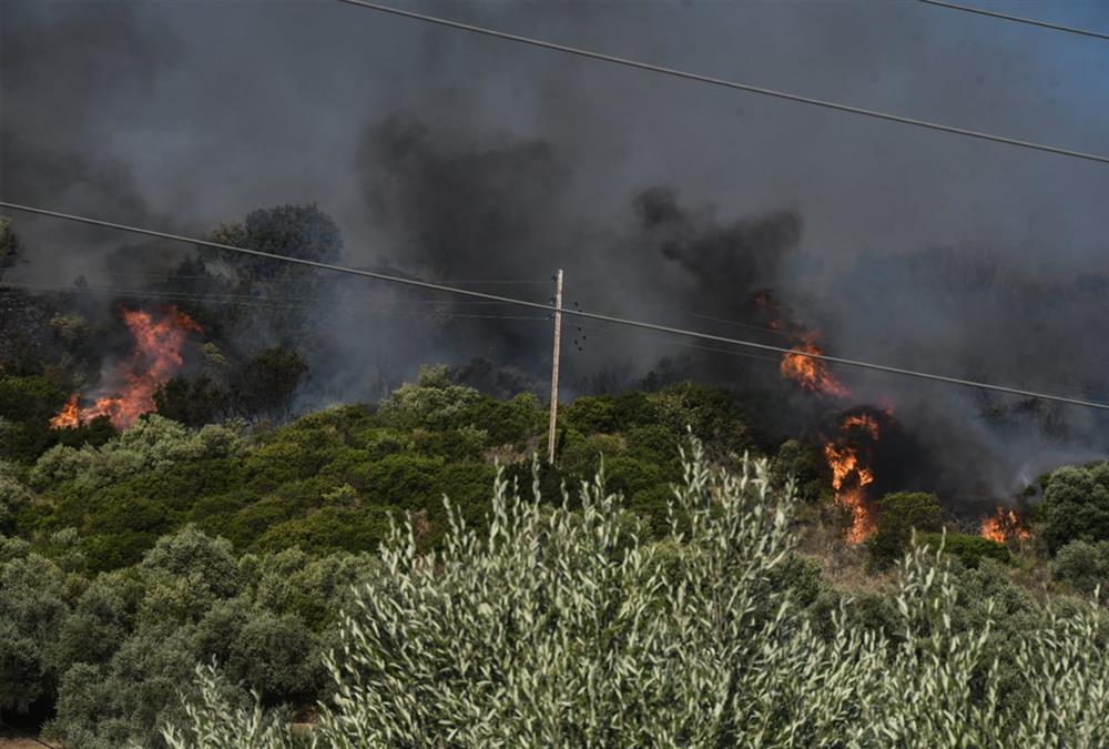 Κεντρική Σελίδα | Έθνος