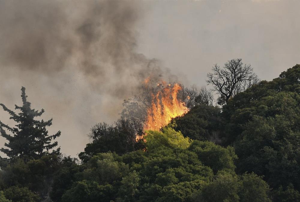 Κεντρική Σελίδα | Έθνος