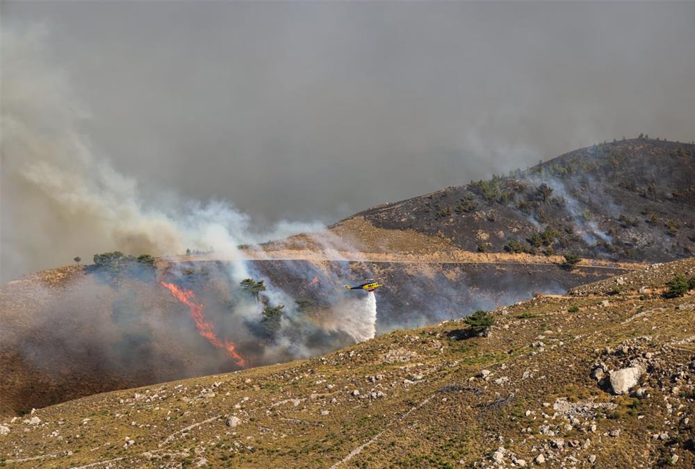 Κεντρική Σελίδα | Έθνος
