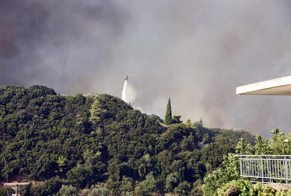 Κεντρική Σελίδα | Έθνος