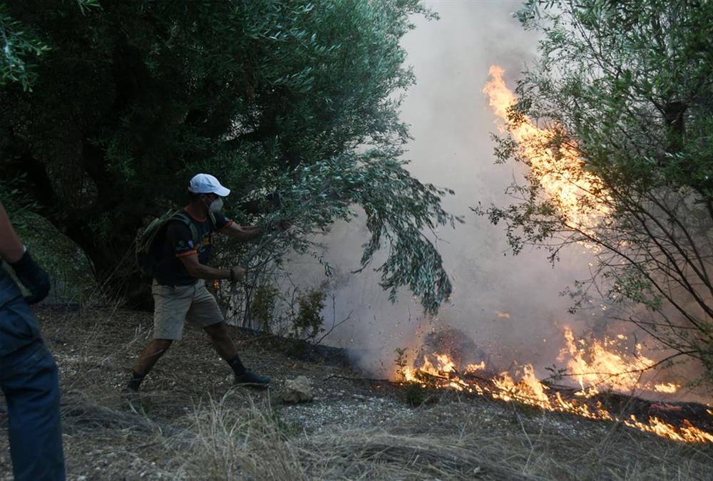 Κεντρική Σελίδα | Έθνος