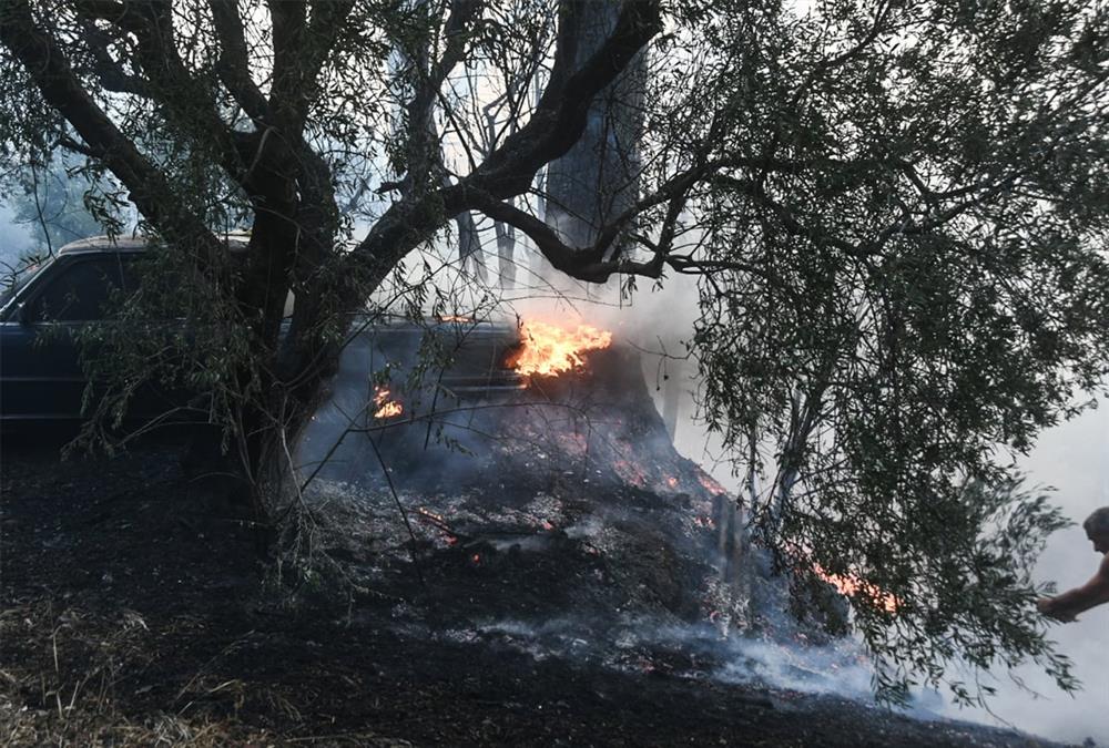 Κεντρική Σελίδα | Έθνος