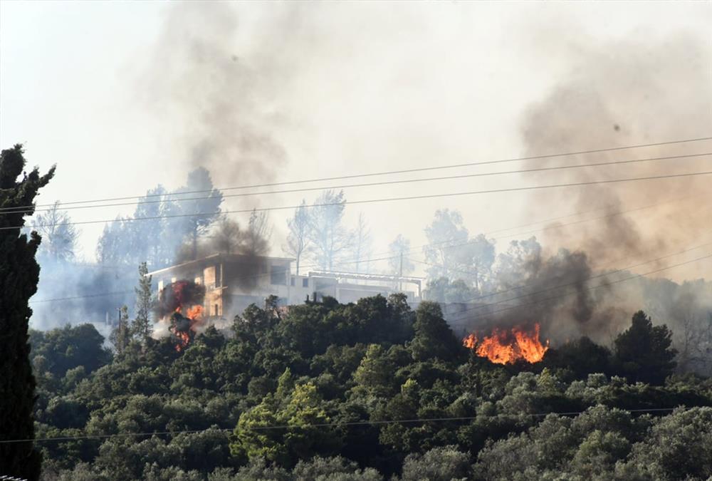 Κεντρική Σελίδα | Έθνος