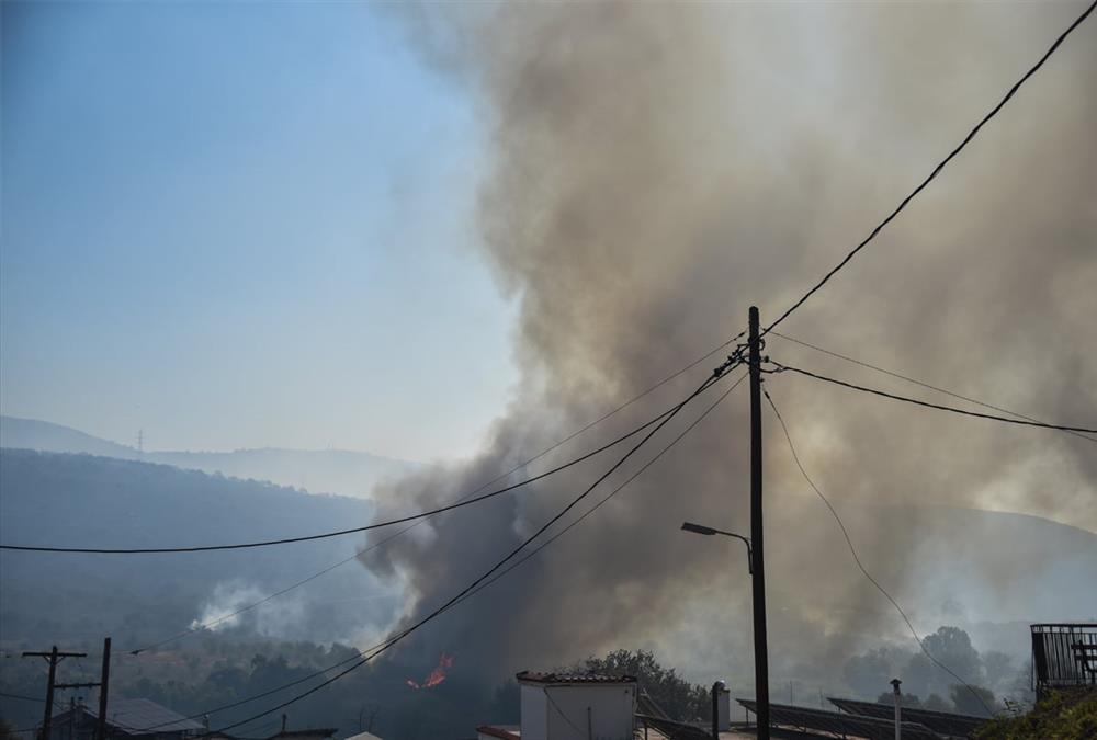 Κεντρική Σελίδα | Έθνος