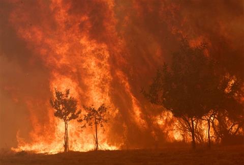 Πάνω από 10 εκ. στρέμματα στάχτη μέχρι τώρα στην Ε.Ε. – Οι χώρες που ...
