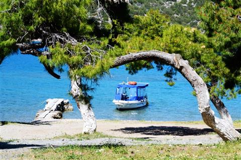 Ερμιόνη: «Πορφύρες» και γεύσεις αρμύρας | Έθνος