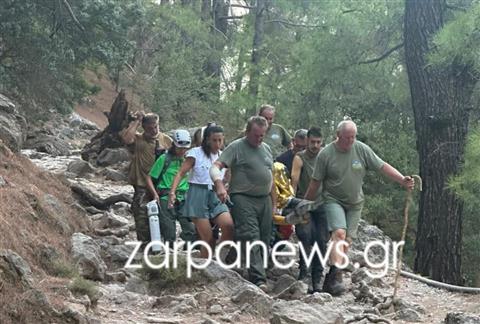 Κρίσιμη αλλά σταθερή η κατάσταση του 55χρονου μελισσοκόμου που ...