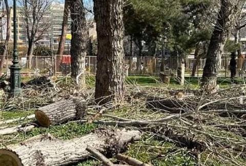 Θεσσαλονίκη: «SOSε τα δέντρα»: Νέα εκδήλωση διαμαρτυρίας για την κοπή ...
