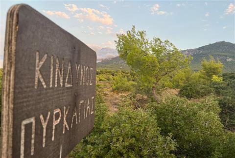 Ένα δάκρυ για την καμένη Πάρνηθα | Έθνος