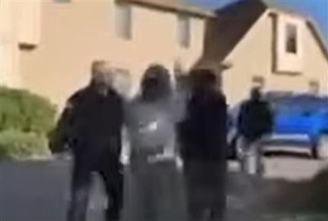 Χάος με μελισσοκόμο που εξαπέλυσε σμήνη από μέλισσες όταν πήγαν να ...