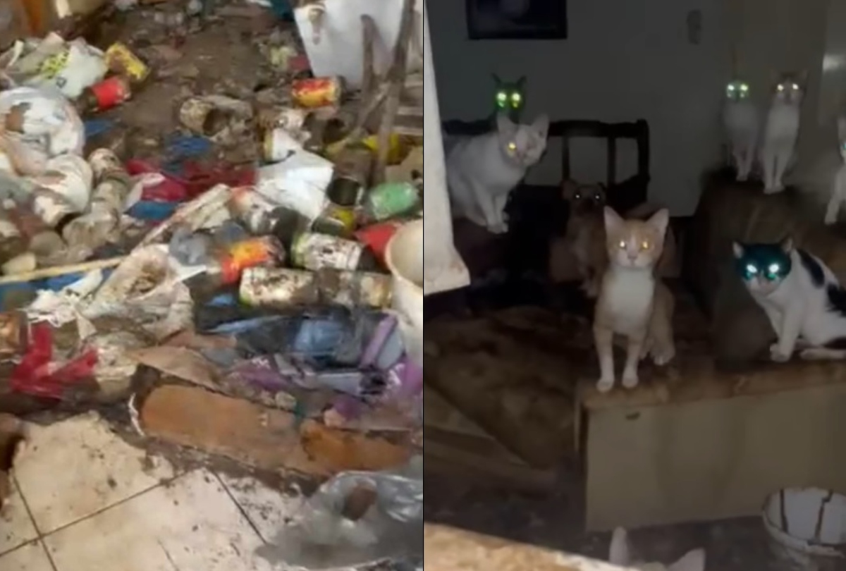 Γράμμα σε έναν έφηβο που βαριέται… | Alfavita