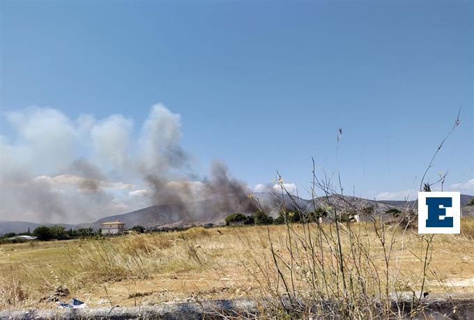 Φωτιά τώρα στον Μαραθώνα: Εστάλη 112 για τις περιοχές Παλιούρι και ...