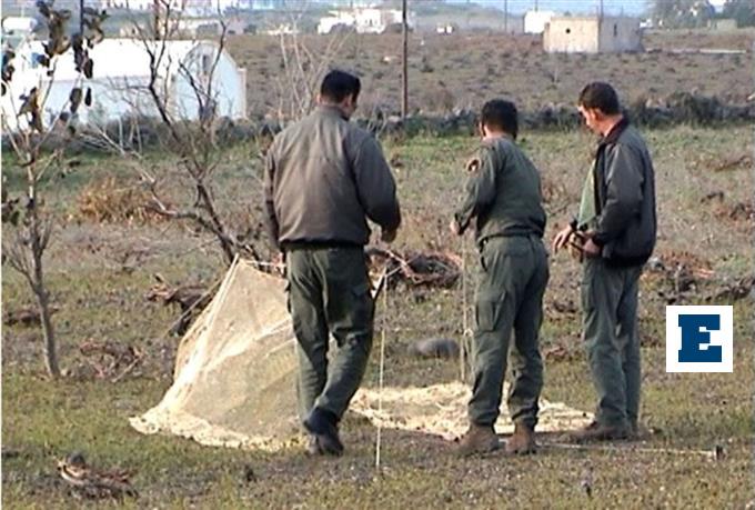 Εφοδοι από Δασαρχεία και θηροφυλακή για το παράνομο εμπόριο άγριων ...
