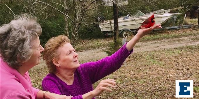 Surviving Death: Το Netflix εξετάζει τη ζωή μετά τον θάνατο | Έθνος