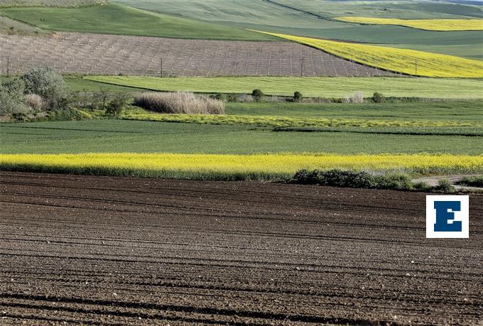 Μειώνεται το ΦΠΑ σε 13% για τα αγροτικά είδη που χρησιμοποιούνται στη ...