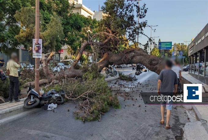 Νεκρός μοτοσικλετιστής στην Κρήτη: Πώς καταπλακώθηκε από το δέντρο ...