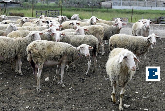 Ασταμάτητος ένας 30χρονος στην Κρήτη: Έκλεψε φορτηγάκι και στη συνέχεια ...