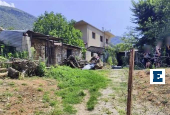 Ιωάννινα: Ο ανιψιός ομολόγησε πως σκότωσε την 62χρονη θεία του | Έθνος