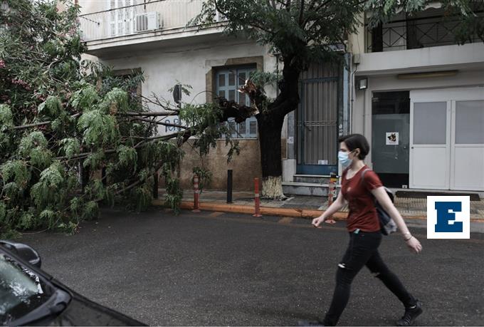 Σέρρες: Νεκρός 69χρονος που καταπλακώθηκε από δέντρο στην αυλή του μετά ...