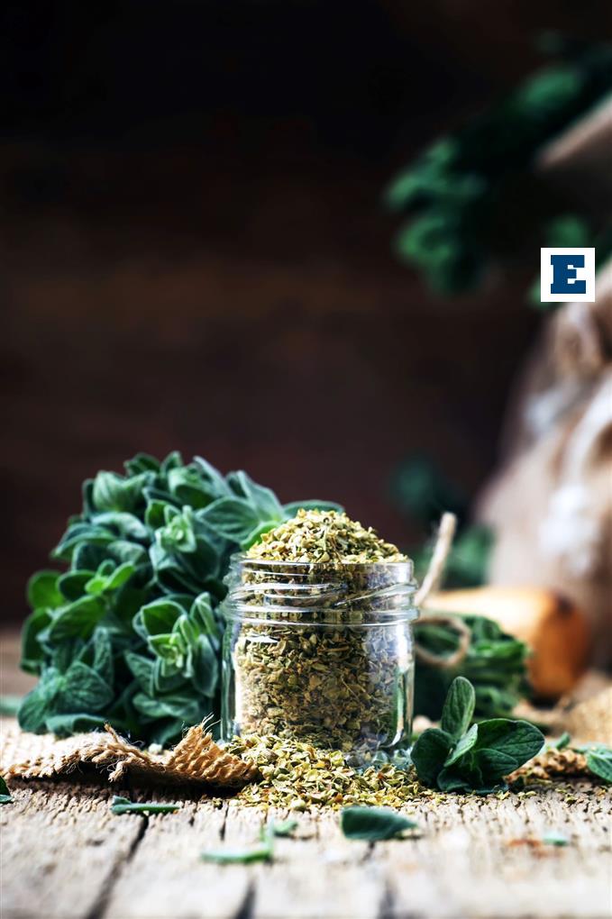 Ρίγανη, το θαυμάσιο μυρωδικό της ελληνικής κουζίνας | Έθνος
