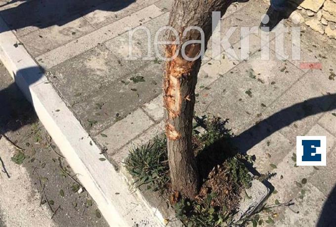 Κρήτη: Θανατηφόρο τροχαίο στο Ηράκλειο με θύμα 22χρονη - Προσέκρουσε σε ...