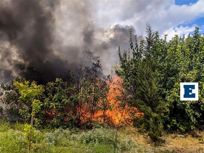 Φωτιά στις Ερυθρές Αττικής: Σε δασική έκταση η πυρκαγιά | Έθνος
