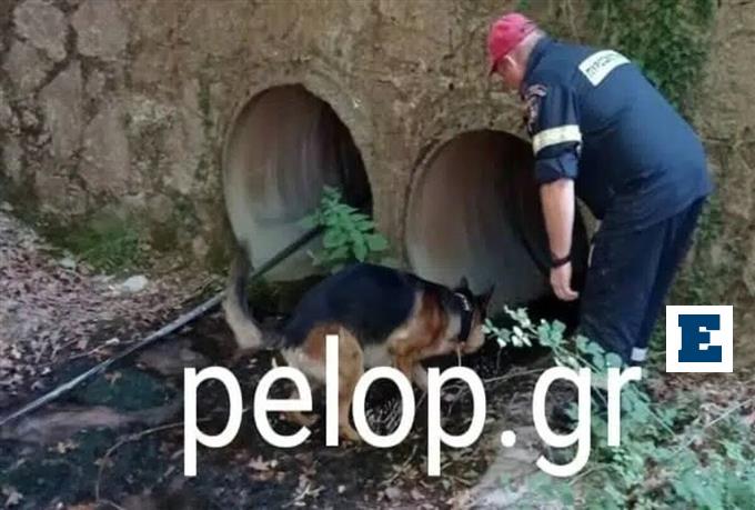 Ναυπακτία: Στα ύψη η αγωνία για 44χρονο αγνοούμενο - Σε πλήρη εξέλιξη ...