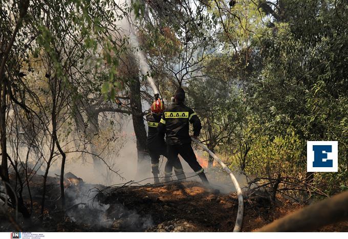 Μεγάλη φωτια στη Σταμάτα Αττικής – Επιστρατεύτηκαν εναέρια μεσα | Έθνος