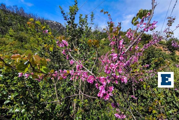 Ανεβαίνει η θερμοκρασία σήμερα - 25αρια θα δείξει το θερμόμετρο | Έθνος