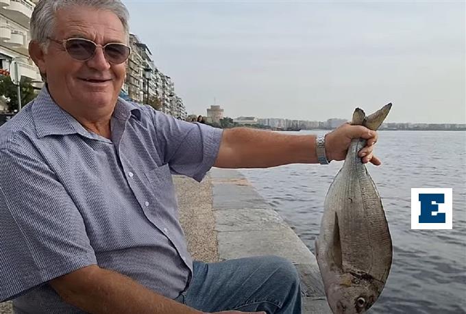 «Είναι λουκούμι»: Ψαράς έπιασε μια μεγάλη τσιπούρα στον Θερμαϊκό και ...