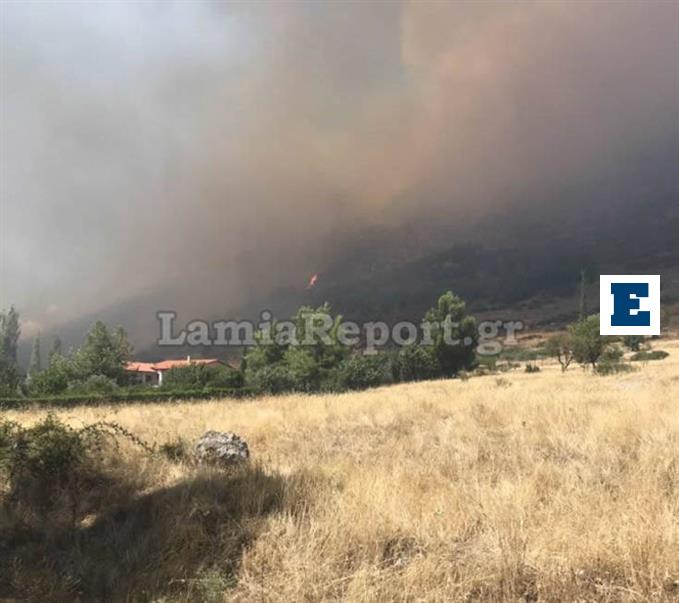 Μεγάλη φωτιά στους Δελφούς - Απειλείται ο εθνικός δρυμός του Παρνασσού ...