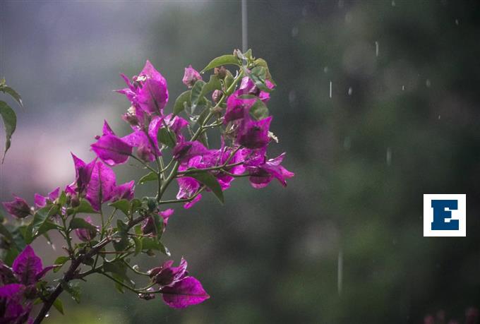 Βροχές σε Κυκλάδες και Κρήτη, έως 22°C στην υπόλοιπη Ελλάδα | Έθνος