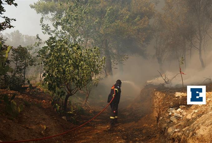 Φωτιά στην Κερατέα: Νεκρός ένας 80χρονος - Δεν πρόλαβε να απομακρυνθεί ...