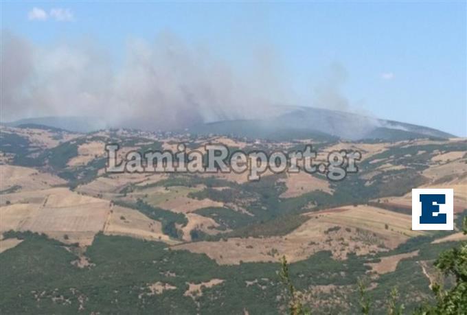 Λαμία: Σε δύο μέτωπα η φωτιά στο Πετρωτό Δομοκού - Συνεχίζεται η μάχη ...