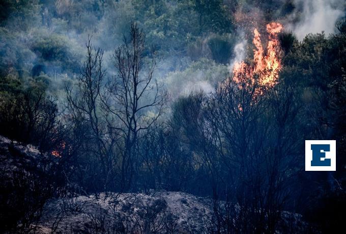 Ολονύχτια μάχη με τις φωτιές σε Θεσσαλονίκη, Γρεβενά, Λάρισα - Η εικόνα ...
