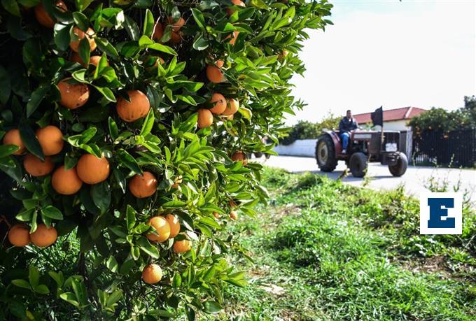 Αποκάλυψη: Πάνω από 80 εκατ. ευρώ σε «μαϊμού» εταιρείες γεωργικών ...