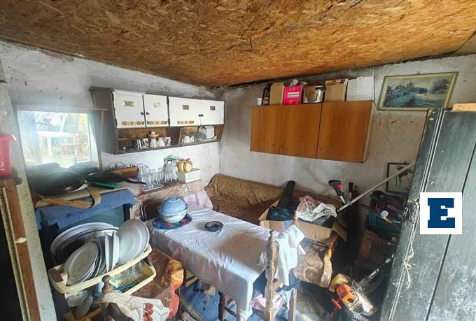 Κραυγή αγωνίας για οικογένεια που ζει σε άθλιες συνθήκες στο Αμύνταιο ...