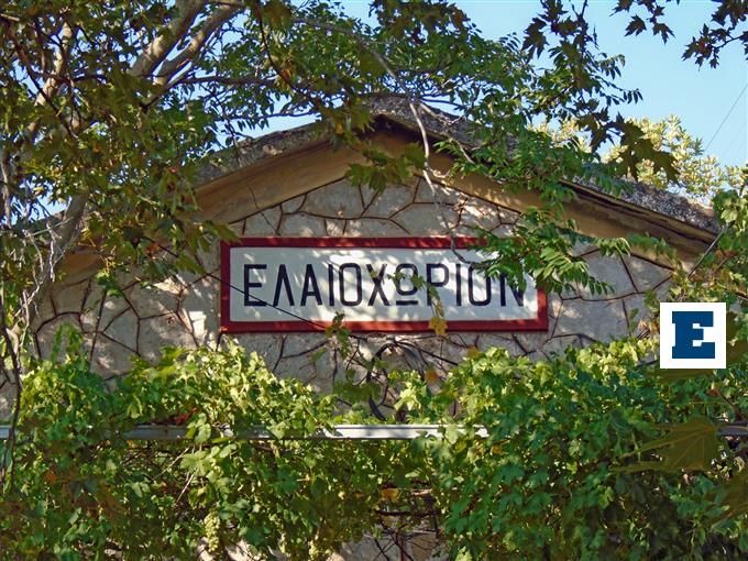 Ελαιοχώρι Αρκαδίας: Όταν ο θερισμός γίνεται γιορτή | Έθνος