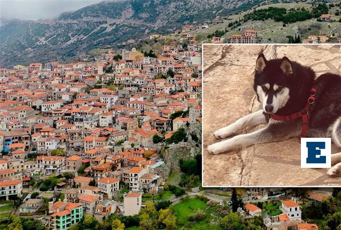 Νέα στοιχεία για την υπόθεση της Αράχωβας: «Ο κακοποιητής του Όλιβερ ...